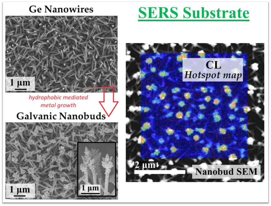 Devices and Sensor's Lab